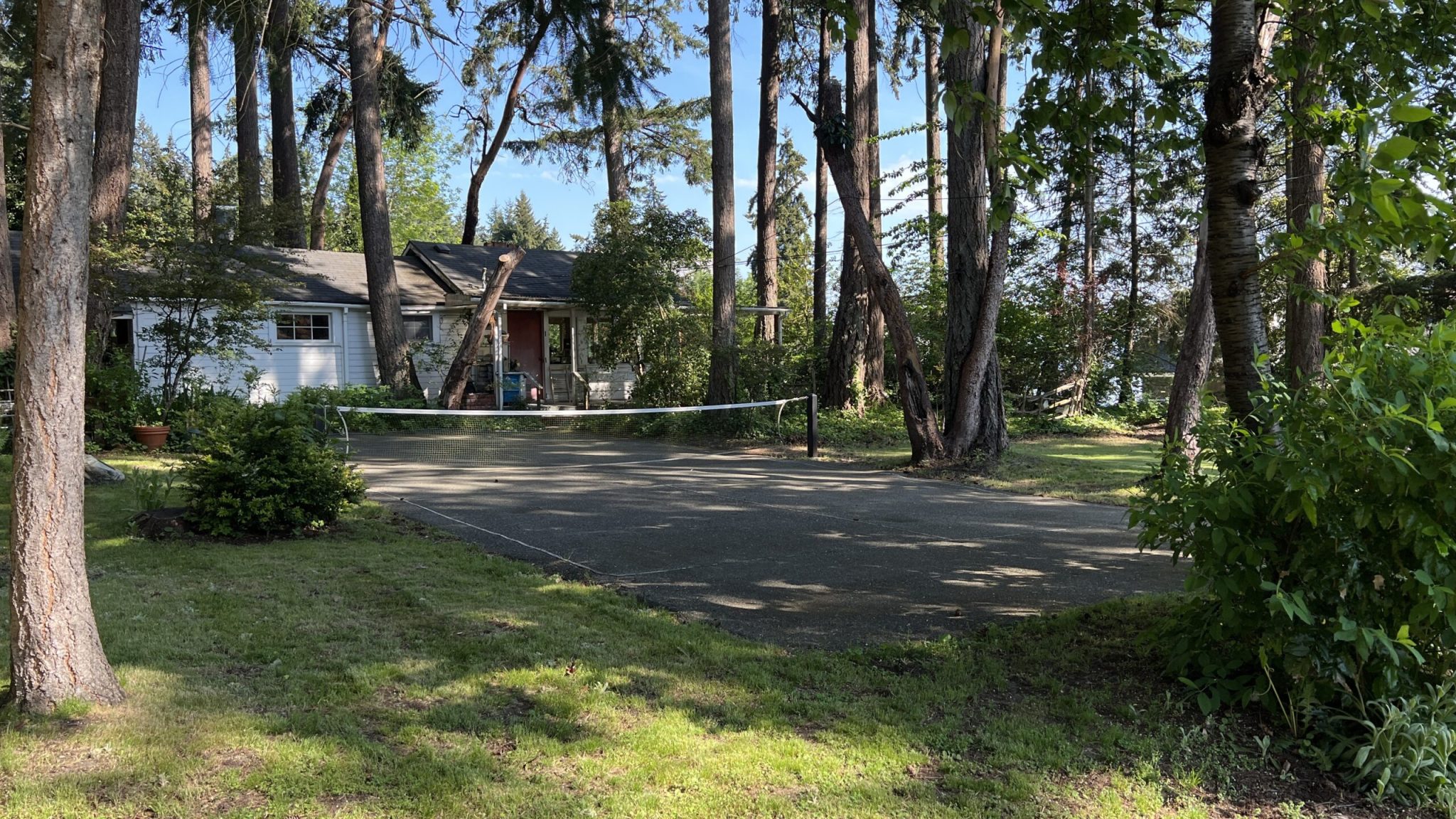 Why is it called pickleball? The REAL story behind Australia's fastest ...